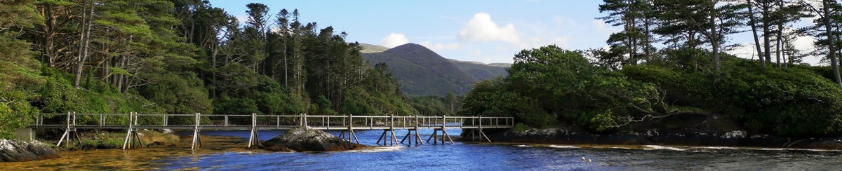 R-CARD® EC - E. Coli - Rapid Test Method - Detection and Enumeration ...