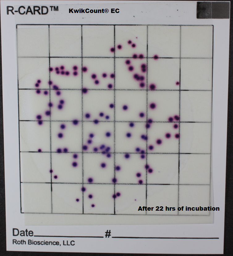 R-CARD® EC - E. Coli - Rapid Test - Accurate Count - Pack of 25 – Roth ...