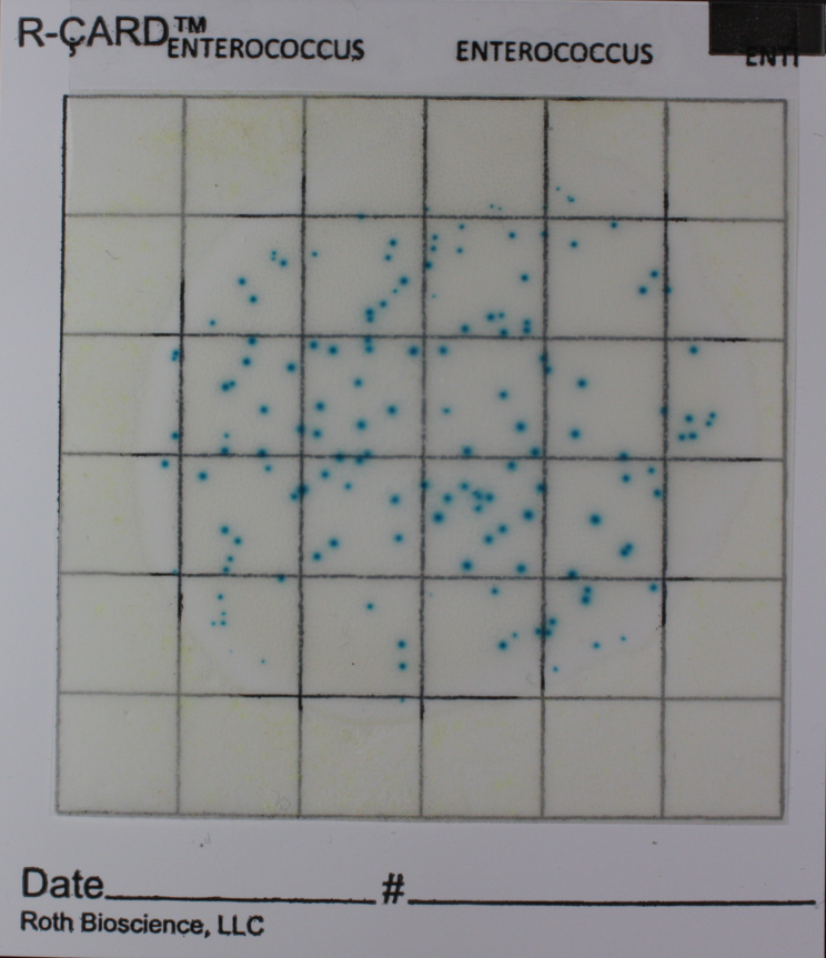 R-CARD® Enterococcus - Rapid Test - Accurate Count - Pack of 100 – Roth ...